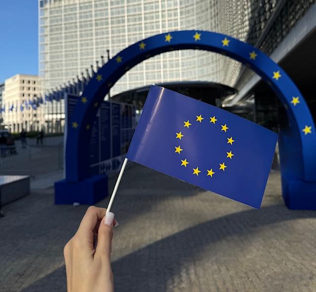 Navigating the maze: Misinformation and the European Union in the digital age - Pulse Z