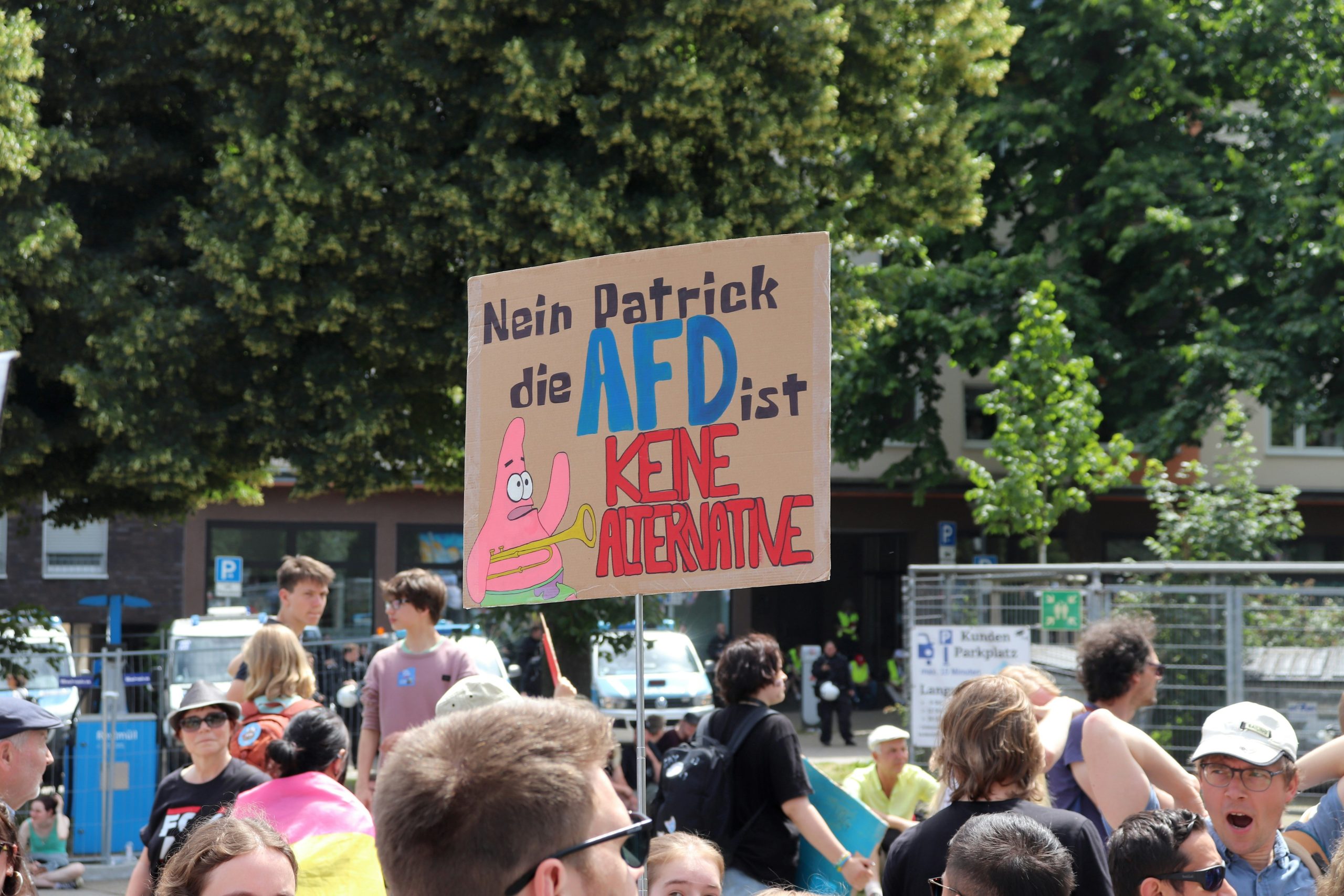 The rationality of far-right irrationalism: how the AfD is reinventing ...